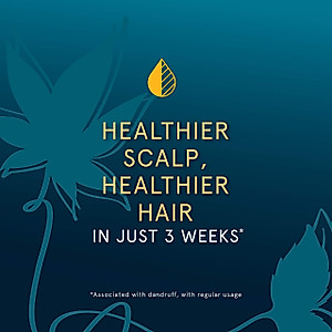 Head & Shoulders Royal Oils Curly Hair Product Nighttime Scalp Tonic Lotion with Peppermint and Hemp Oil, Sulfate Free, 3.4 Fl Oz