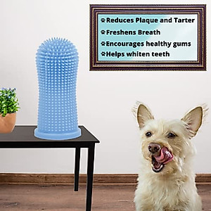 Pets Grooming Kit with Clear bag with dogs accesories inside. includes cat and dog teeth cleaning, shampoo brush, deshedding brush for cats, dog brush for shedding and brush glove. Best for dog wash station. Good alternative of pet supplies or cat accesso