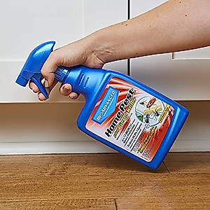 BioAdvanced Home Pest Germ Killer Indoor & Outdoor Insect Killer, Ready-to-Use, 24 oz