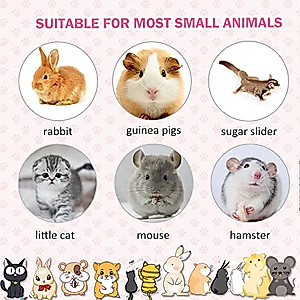 Guinea Pig Hanging Tunnel Hammocks - HOMEYA 2 PCS Luminous Small Animal Pet Hideout Bunkbed Cage Cave Toys for Hamster Squirrel Ferret Hedgehog Chinchilla - Cage Accessories