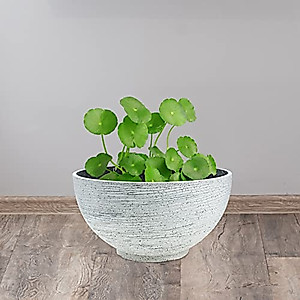 Happyyami Water Lily Water Planter Large Hydroponic Planter Garden Plant Bowl Flower Planting Container Home Garden Decoration Accessories Beige