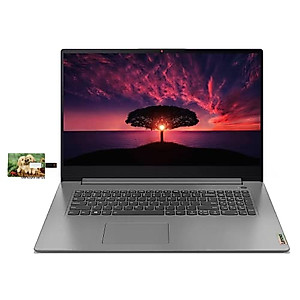 New Lenovo IdeaPad 3i Business Laptop, 17.3" HD Display, Intel Core i3-1115G4, Windows 10 Pro, 12GB RAM, 512GB SSD, WiFi 6, 32GB Durlyfish USB Card