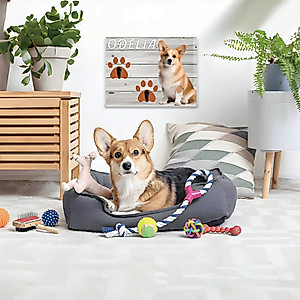 Generic Custom Dog Leash Holder,Personalized Dog Leash Hook with Name and Photo, Wooden Dog Key Organizer for Wall Dog Lovers Gift (White)