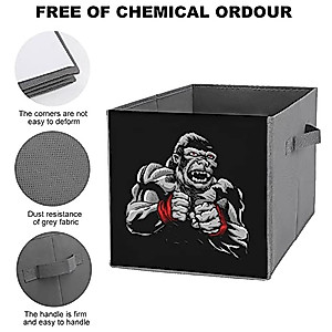 Fighter Gorilla Large Cubes Storage Bins Collapsible Canvas Storage Box Closet Organizers for Shelves