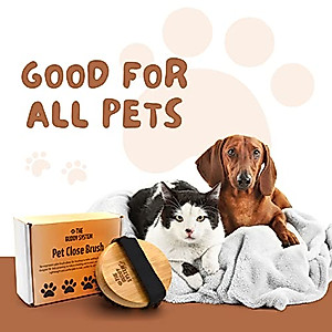 The Buddy System Pet Close Brush, Soft Touch Oval Palm Brush - Bamboo Massage Handheld with Soft Boar Bristles and Elastic Band for Dogs and Cats