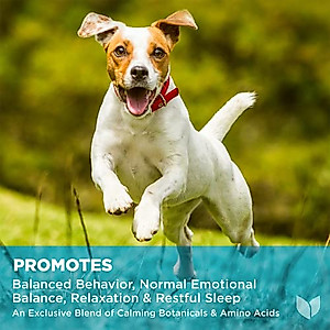 Hyland's Naturals - Dogs - Calm & Balance, 90 Soft Chews, Supports Balanced Behavior, Normal Emotional Balance, Relaxation & Restful Sleep, L-Theanine, GABA & Chamomile, Chicken Liver Flavor