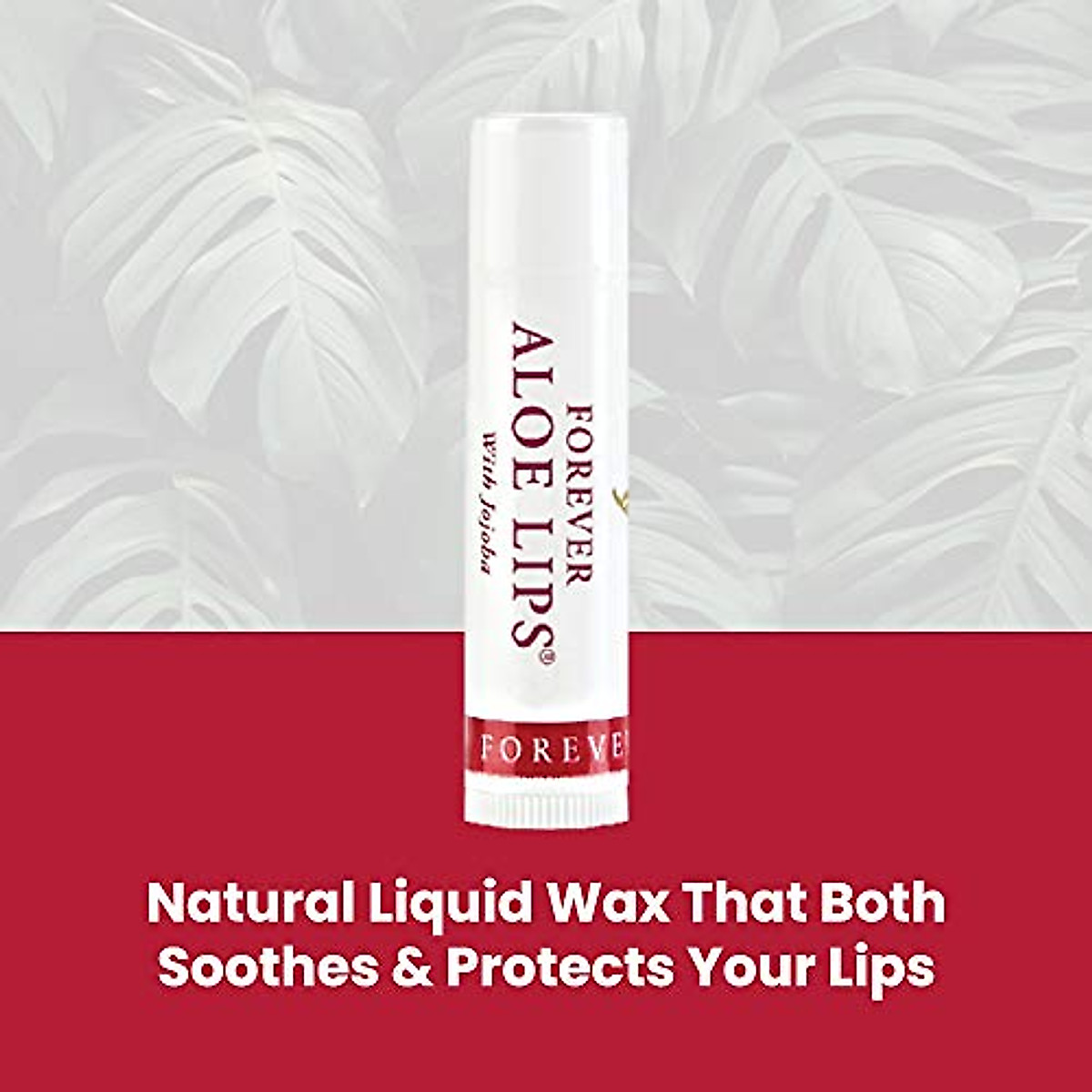Forever Living - Forever Aloe Lips - Ultimate Lip Care for Any Weather - Moisturizing Lip Balm with Aloe, Jojoba & Beeswax - Vegan - Pack of 12