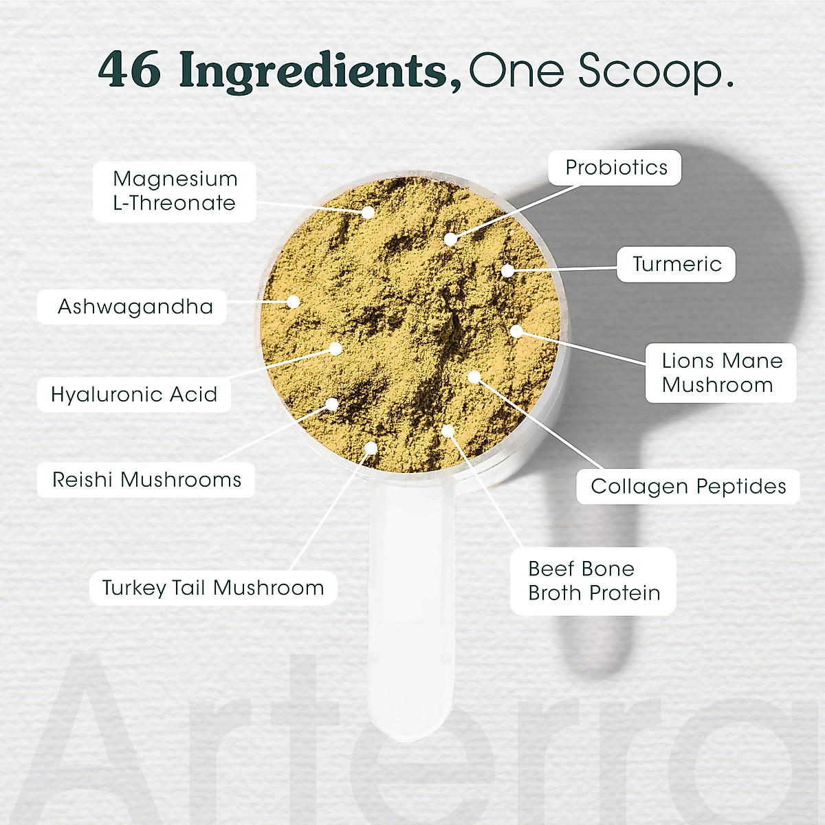 All-in-One Dog Supplement for Advanced Wellness & Longevity, 46 Premium Ingredients for Health Aging, Hip & Joint, Cognition, Skin, Gut & Organs, Vet-Formulated, Adult Formula 2-7 Yrs, 4.9 oz