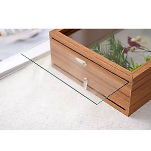 Cumuiu Shadow Box Frame Display Dried Flowers Frame Double Sided Plant Specimen Frame for Pressed Flowers Dried Leaf (6" x 8")