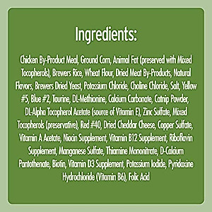 TEMPTATIONS MIXUPS Crunchy and Soft Cat Treats Catnip Fever Flavor, 16 oz. Tub