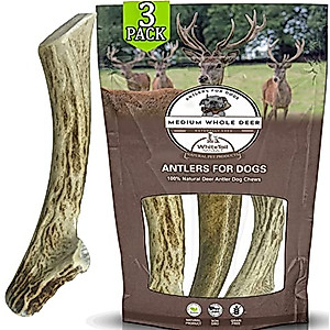 WhiteTail Naturals | 3 Pack Medium | Deer Antler Dog Chews | All Natural Organic Antlers for Dogs | Long Lasting Antler Bones for Dogs | Durable Antler Dog Toy