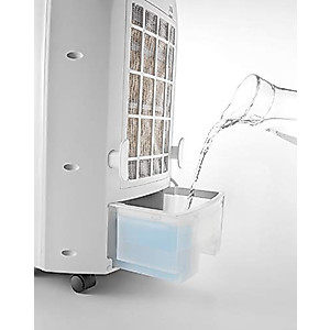 DeLonghi America America Portable Evaporative Cooler, White