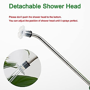 Small Watering Can for Indoor Plants, Long Spout Watering Can Indoor with Sprinkler Head, Indoor Watering Can for House Plants, Flowers, Succulents,Bonsai 34oz