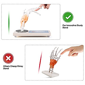 Ultrassist Human Hand Joint Model with Ligaments, Flexible 1:1 Scientific Life Size with 360° Rotatable Wooden Display Base, Includes Anatomy Diagram Best for Patient Education & Medical Training