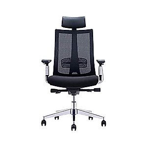 MXIAOXIA Office Chair, Breathable Mesh Computer Chair with Ergonomic Adjustable Lumbar Support Chair with Adjustable Armrest and Headrest, Soft Cushion Seat (Color : D)