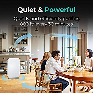 Alen BreatheSmart 45i HEPA Air Purifier With VOC/Smoke Filter, Absorbs Heavy VOCs from Cigarette and Wildfire Smoke. Captures Allergens, Dust, and Mold. Bedrooms, and other rooms up to 800 sq. ft.