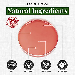 Gro Magik Premium Pre-Made Malt Extract Agar Plates for Mycology, Pre-Poured and Sterilized Agar Plates for Mushrooms to Support Robust Mycelium Growth (5 Pack)