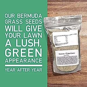 Hancock Seed Co. Common Bermuda Grass Seeds- Raw & Unhulled - 5 lbs.