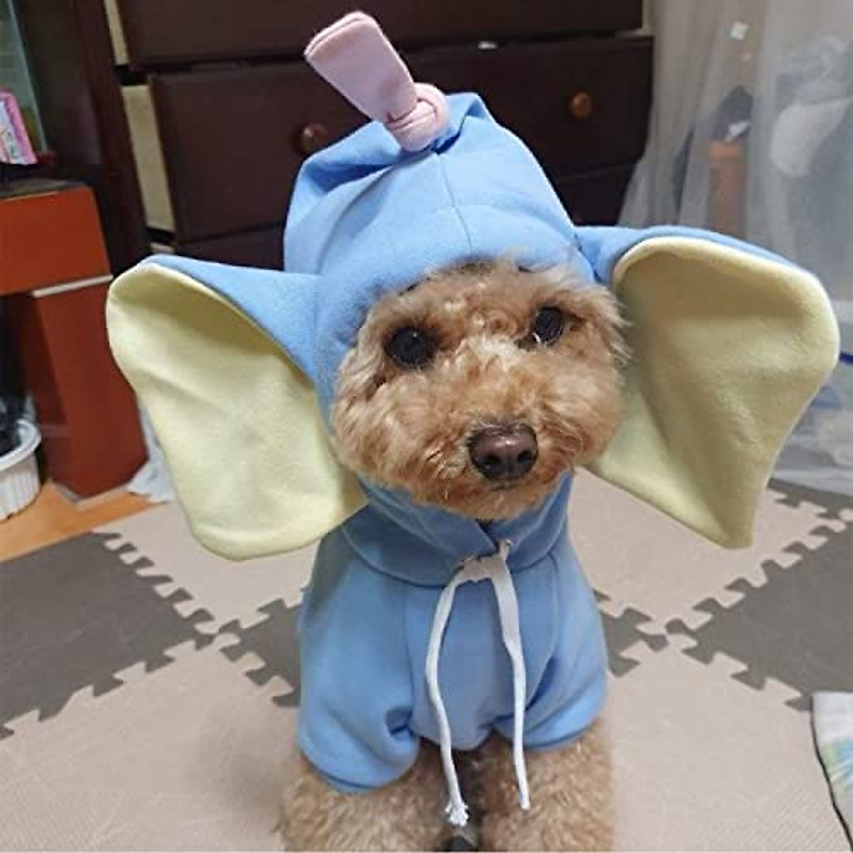 HDKUW Dogs Hoodie, Sweatshirt Fruit Warm Coat Sweater, Cold Weather Costume for Puppy Small Medium Dog (M, Blue Elephant)