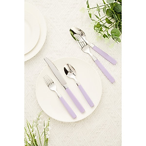 ANNOVA 20 Pieces Stainless Steel Flatware/Cutlery Set - Color Handles - 4 x Dinner Forks, 4 x Salad Forks, 4 x Dinner Knives, 4 x Dinner Spoons, 4 x Dessert Spoons - Service for 4 (Lilac, 20 Pieces)
