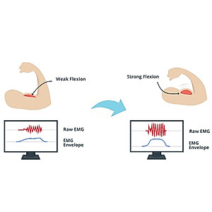 MyoWare 2.0 Muscle Sensor-Compatible with Arduino- All-in-one electromyography (EMG) sensor from Advancer Technologies -Measure muscle activity by detecting its electric potential-Keyed Snap Connector
