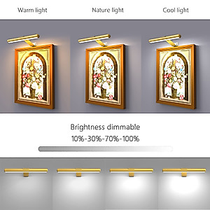 Gold Wireless Led Picture Light with Remote Control - Rechargeable Battery, Metal Art Display Accent Light, 300LM, Dimmable for Gallery, Dartboard
