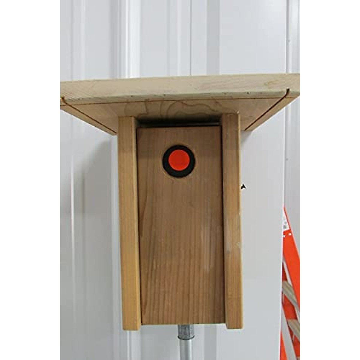 Showingo Van ERT Universal Sparrow Trap for Nest Boxes with Multiple Entrance Types