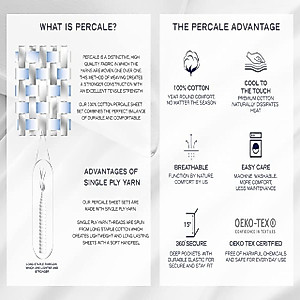 Nautica - Twin Sheets, Cotton Percale Bedding Set, Coastal Home Decor, Dorm Room Essentials (Beaux Stripe Navy, Twin)