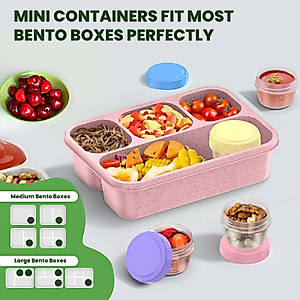 Yumuk Salad Dressing Container to Go (6 Pack) - 2.7 oz Small Containers with Lids, Reusable and Leakproof Snack Box Sauce Containers for Bento Lunch Box, Work, School & Travel