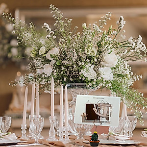 6 Pack Cute Picture Holder,Table Number Holder for Desk, Adorable Cactus Shape Desktop Ornaments Small Place Card Holder, Memo Holder Stand