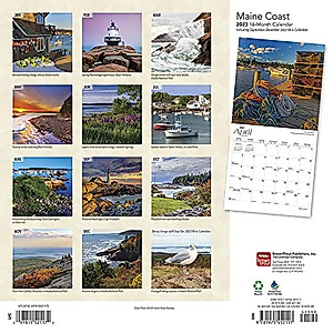 Maine Coast | 2023 12 x 24 Inch Monthly Square Wall Calendar | BrownTrout | USA United States of America Northeast State Ocean Sea Nature