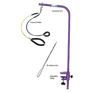 Downtown Pet Supply Dog Grooming Arm with Clamp and Grooming Loop, 2 Haunch, Purple - Adjustable, Steel Grooming Table Arm with Table Clamp, No Sit Haunch Holder Dog Grooming Restraint and Loop
