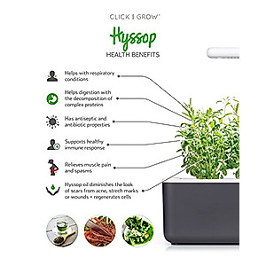 Click and Grow Smart Garden Hyssop Plant Pods, 3-Pack