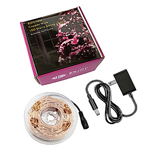 RUICHEN Fairy Lights Plug in, 33 Ft 100 LED Copper Wire Lights with Spool, Waterproof Starry String Lights for Bedroom, Patio, Garden, Party, Wedding, Christmas and More (Warm White)