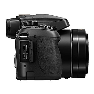 Panasonic DC-FZ80K LUMIX FZ80 18.1MP 4K 60x Long Zoom Digital Camera with Kodak 32GB Card, Holster Bag, and Flexible 12-inch Spider Tripod Bundle (4 Items)