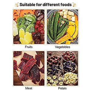 6 Pcs Silicone Dehydrator Sheets with Edge for 14" x 14" Trays, Non-stick Silicone Tray Liner for Excalibur Dehydrator, Reusable Dehydrator Mats Square Dryer Mats for Fruits Meat Vegetables Herbs