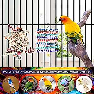 KIEYYRYT Bird Toys with Cage Shredded Paper Toys, Colorful Parrot Foraging Toys with Hanging Chewing Toys for Small Medium Parrot, Parakeet, Finch, Budgerigar, Conure, Cockatiel and Lovebirds