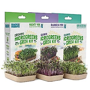 Back to the Roots DIY Microgreen Grow Kit, 6-Grow Variety Pack