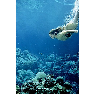 Ocean Girl - Complete Series - 18-DVD Box Set ( Ocean Girl (78 Episodes) ) [ NON-USA FORMAT, PAL, Reg.2 Import - Germany ]