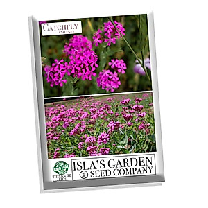 Catchfly Flower Seeds for Planting, 3000+ Seeds Per Packet, (Isla's Garden Seeds), Non GMO & Heirloom Seeds, Scientific Name: Silene, Great Home Flower Garden Gift