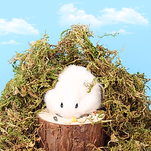 LUVCOSY Hamster Decoration Package = Forest Moss + Coconut Fiber + 3 Packs Wooden Fence, Cage Bedding Accessories, Habitat Decor Toys, Odor Control for Chinchilla, Guinea Pig, Reptile & Small Animals