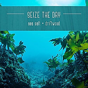 Essential Elements by Candle-Lite Company Wood Wick Scented Candle, Seize The Day, One 16 oz. Single-Wick Aromatherapy Candle with 50 Hours of Burn Time, White