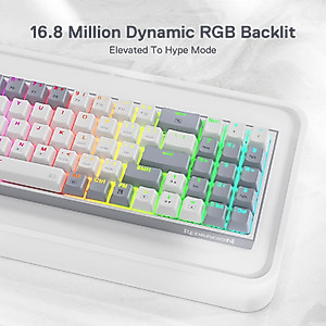 Redragon K628 Pollux 75% Wired RGB Gaming Keyboard, 78 Keys Compact Mechanical Keyboard w/100% Hot-Swap Socket, Free-Mod Plate Mounted PCB & Dedicated Arrow Keys, Quiet Red Switch