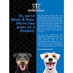 Horbäach Omega 3 Fish Oil for Dogs | 180 Softgels | Mega Pup for Optimal Pet Health & Wellness | Lemon Flavor | Non-GMO, Gluten Free Supplement | by River & RULA