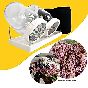 ON THE GROW - Complete Sprouting Kit - 2 Large 32oz Wide-Mouth Mason Jars, Premium Screen lids, Blackout Sleeves, Tray and Sprouter Stand - for Growing Broccoli, Mung Bean, Alfalfa Sprout from Seed