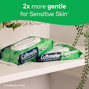 Cottonelle GentlePlus Flushable Wet Wipes with Aloe & Vitamin E, 6 Flip-Top Packs, 42 Wipes Per Pack (252 Total Wipes), Packaging May Vary