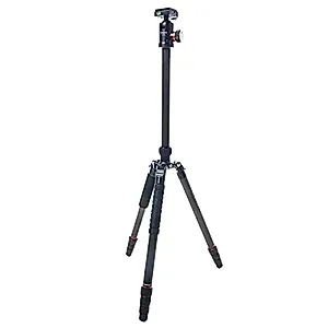 Sigma fp Mirrorless Digital Camera, Bundle with FotoPro X-Go Max Carbon Fiber Tripod & Memory Card Case