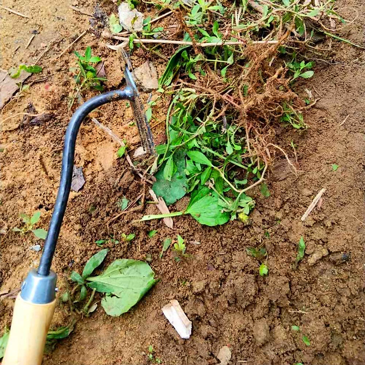 New Weeding Artifact Uprooting Weeding Tool, Upgrade Garden Weed Pulling Tool, Manganese Steel Forged Weed Puller 4 Teeth Dual Purpose Weeder with Handle for Garden Yard Farm (B-Iron Handle)