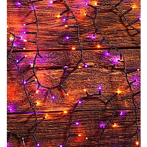kemooie 500 LED Halloween Lights, 164FT 8 Lighting Modes Plug in Waterproof Fairy Lights for Outdoor Tree Lights Party Garden Balcony Halloween Decorations(Purple and Orange)
