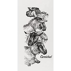 Faber-Castell Pitt Artist Pen 167115 India Ink Pens Pack of 4 M F S XS Black